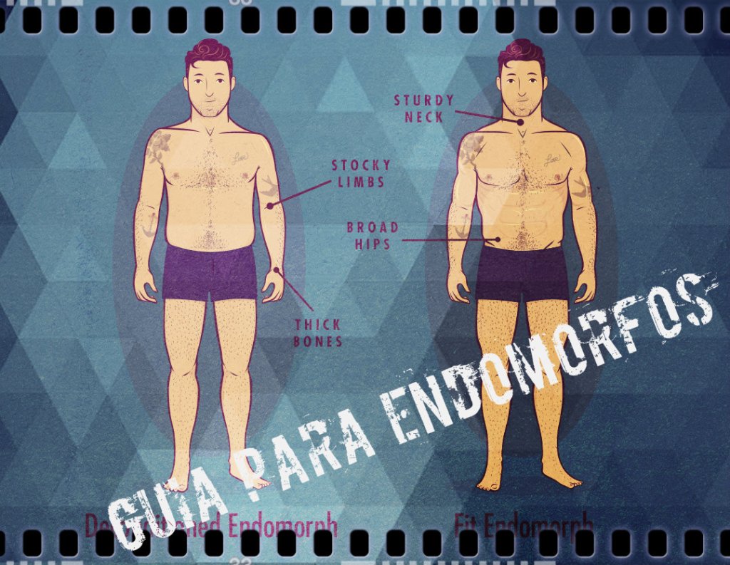 ENDOMORFO DEFINIDO 】- Te explico CÓMO